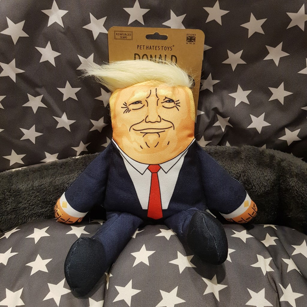 Donald dog toy